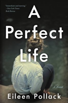 A Perfect Life : A Novel used book by Eileen Pollack: 9780062419187