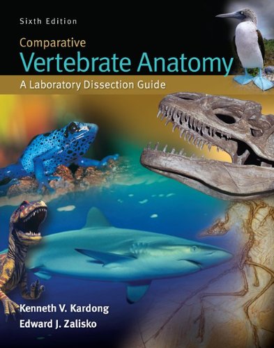 Comparative Vertebrate Anatomy : A Laboratory Dissection Guide used ...
