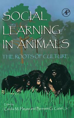 Social Learning in Animals : The Roots of Culture book by Cecilia M ...