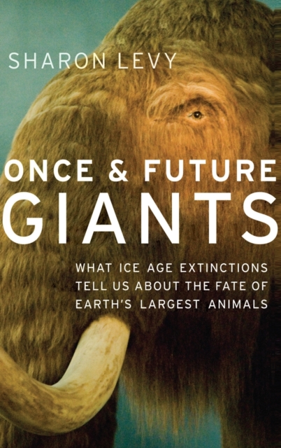 Once and Future Giants : What Ice Age Extinctions Tell Us about the Fate of Earth's Largest ...