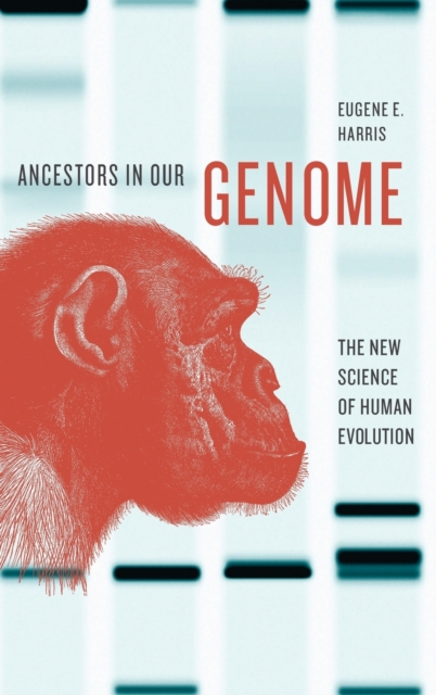 Ancestors in Our Genome : The New Science of Human Evolution used book ...