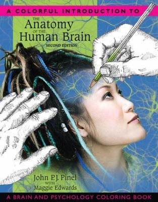 A Colorful Introduction to the Anatomy of the Human Brain : A Brain and ...