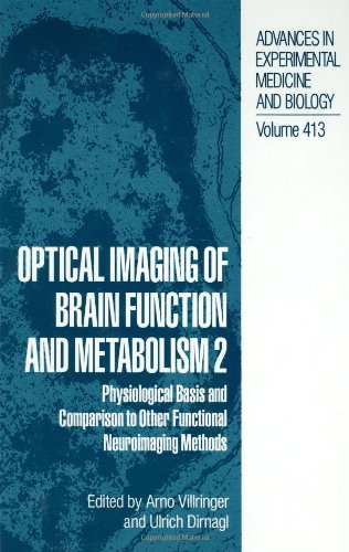Optical Imaging of Brain Function and Metabolism 2 Vol. 2 ...