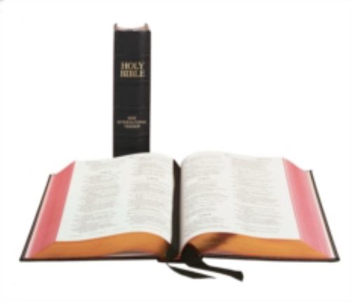 NIV Lectern Bible: New International Version book by International ...