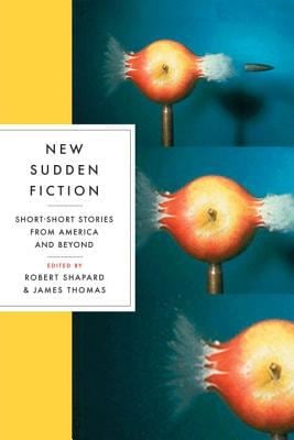 New Sudden Fiction : Short Stories from America and Beyond used book by ...