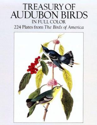 Treasury of Audubon Birds in Full Color : 224 Plates from The Birds of ...