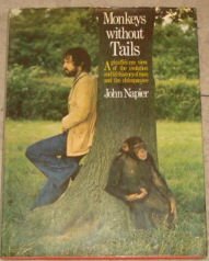 Buy New & Used Books Online with Free Shipping | Better World Books