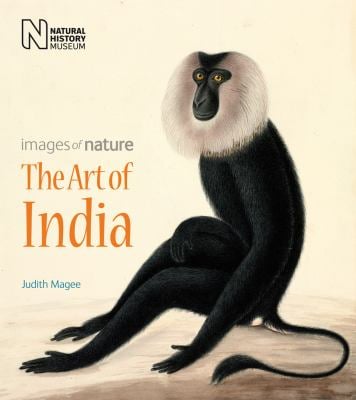 The Art of India used book by Judith Magee