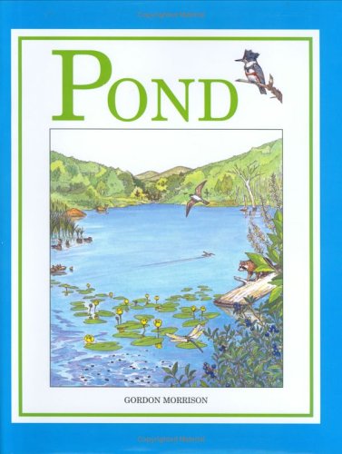 Pond book by Gordon Morrison: 9780618102716