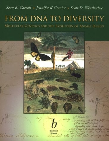 From DNA to Diversity : Molecular Genetics and the Evolution of Animal ...