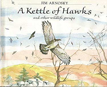A Kettle of Hawks used book by Jim Arnosky: 9780688092795