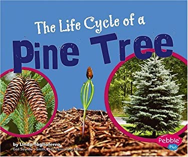 The Life Cycle of a Pine Tree book by Linda Tagliaferro: 9780736867122