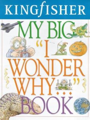 My Big I Wonder Why Book book: 9780753405659