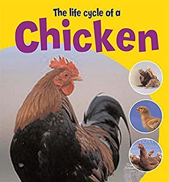 The Life Cycle of a Chicken used book by Ruth Thomson: 9780750258746