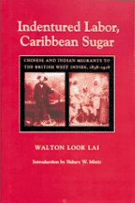 Indentured Labor, Caribbean Sugar : Chinese and Indian Migrants to the ...
