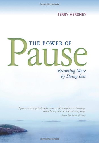 The Power of Pause : Becoming More by Doing Less used book by Terry ...