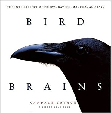 Bird Brains : The Intelligence of Crows, Ravens, Magpies, and Jays book ...