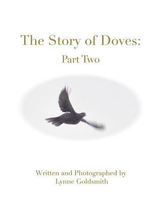The Story of Doves : Part Two book by Lynne Goldsmith: 9781006374142