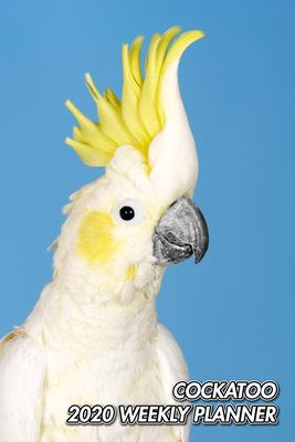 Cockatoo Notebook: Sulphur-Crested Cockatoo | Cacatua galerita | 2020 ...