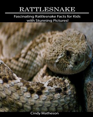 Rattlesnake: Fascinating Rattlesnake Facts for Kids with Stunning ...