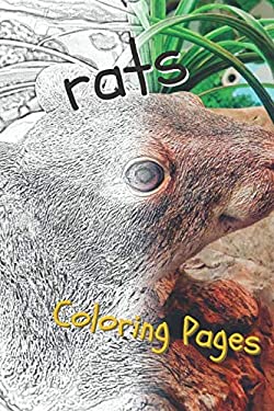 Rat Coloring Pages : Beautiful Rats Drawings for Kids and for Adults ...