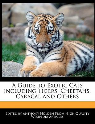 A Guide to Exotic Cats Including Tigers, Cheetahs, Caracal and Others ...