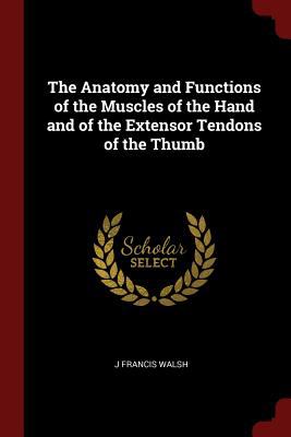 The Anatomy and Functions of the Muscles of the Hand and of the ...