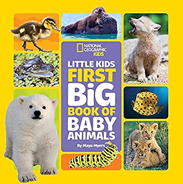Little Kids First Big Book of Baby Animals used book by Maya Myers ...