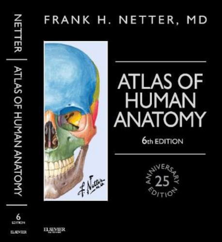 Atlas of Human Anatomy, Professional Edition : Including ...
