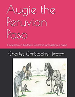 Augie the Peruvian Paso : Horse Born in Northern California and Getting ...