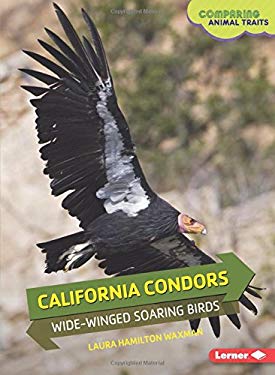 California Condors : Wide-Winged Soaring Birds used book by Laura ...