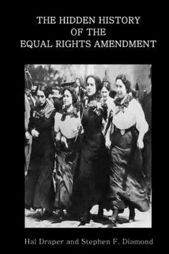 The Hidden History of the Equal Rights Amendment book by Stephen F ...