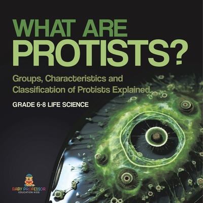 What are Protists? Groups, Characteristics and Classification of ...