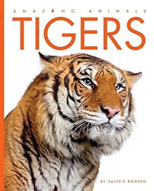 Amazing Animals - Tigers used book by Valerie Bodden: 9781583417201
