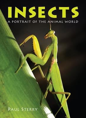 Insects - Pb : A Portrait of the Animal World used book by Paul Sterry ...