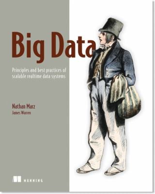 Big Data:Principles and Best Practices of Scalable Realtime Data ...