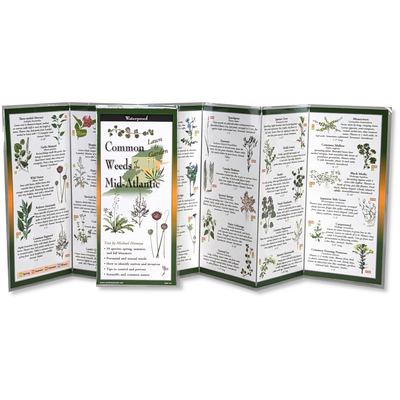 Earth Sky + Water FoldingGuide™ - Common Weeds of the Mid-Atlantic - 10 ...