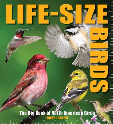 Life-Size Birds : The Big Book of North American Birds book by Nancy J ...