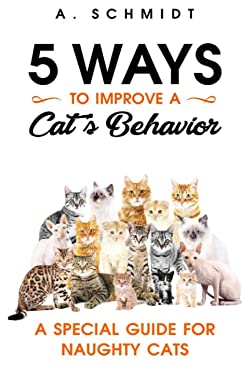 5 Ways to Improve a Cat's Behavior: A Special Guide for Naughty Cats ...