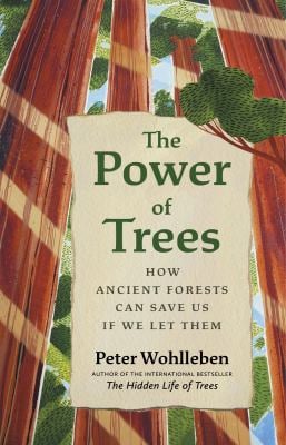 The Power of Trees : How Ancient Forests Can Save Us If We Let Them ...