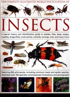 The Complete Illustrated World Encyclopedia of Insects : A Natural ...