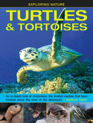 Turtles and Tortoises : An In-Depth Look at Chelonians, the Shelled ...