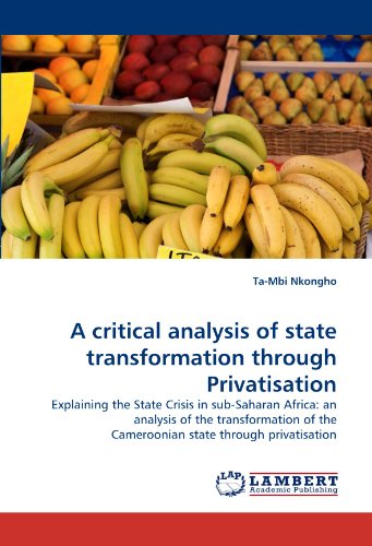 A Critical Analysis of State Transformation Through Privatisation book ...