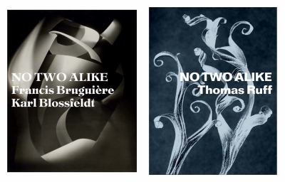 No Two Alike : Karl Blossfeldt, Francis Bruguière, Thomas Ruff book by ...