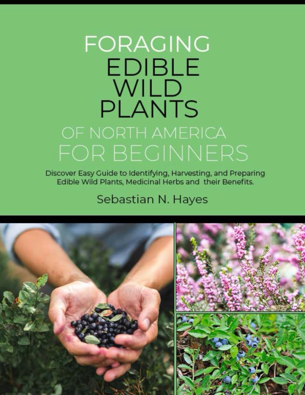 Foraging Edible Wild Plants of North America for Beginners: Discover Easy Guide to Identifying ...
