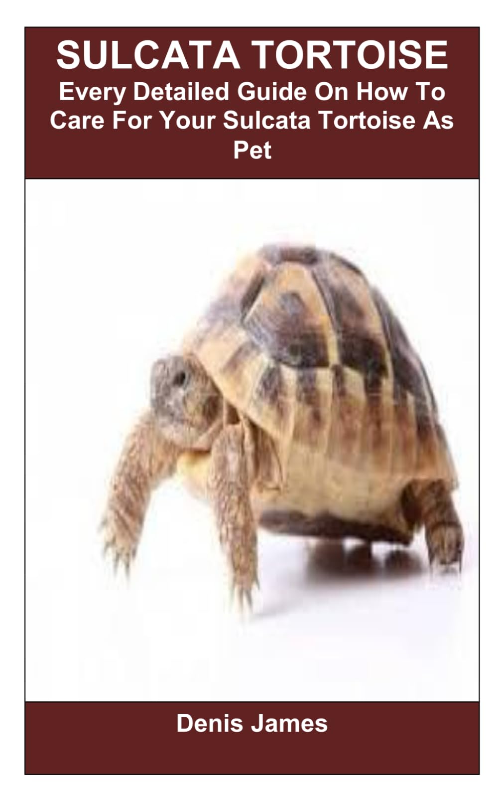 SULCATA TORTOISE: Every Detailed Guide On How To Care For Your Sulcata Tortoise As Pet book ...