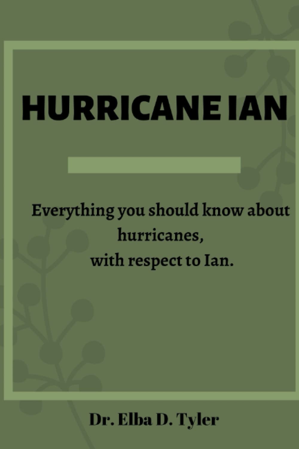 HURRICANE IAN: Everything you should know about hurricanes, with ...
