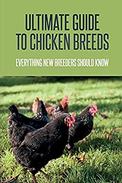 Ultimate Guide To Chicken Breeds: Everything New Breeders Should Know ...