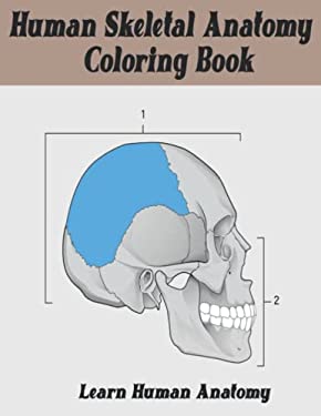 Human Skeletal Anatomy Coloring Book: Learn Human Bones Anatomy for All ...