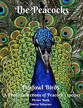 The Peacocks Peafowl Birds a Photo Collections of Peacock's Species ...